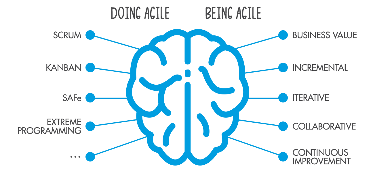 ¿Qué es un Agile Coach y cuáles son sus competencias? - Netmind