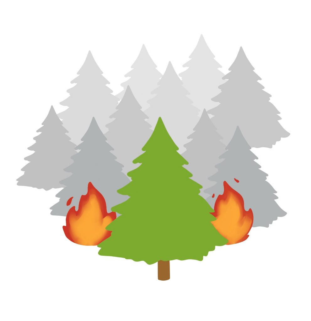 Value Stream Management: Midiendo la entrega de valor