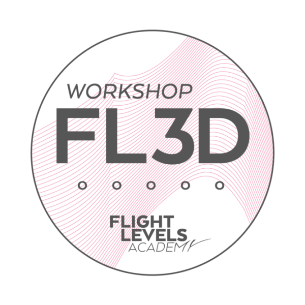 Primer curso Flight Levels 3D con Klaus Leopold en Netmind - Netmind