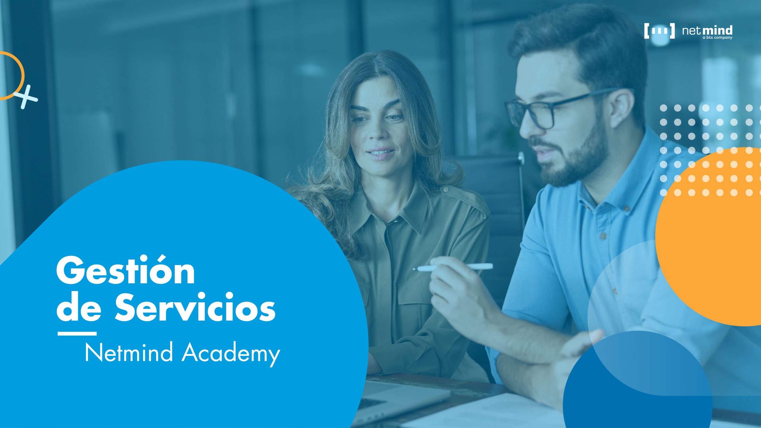 Gestión de servicios - Netmind